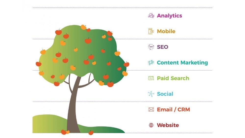 Climbing the Digital Marketing Tree