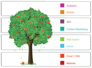 Climbing the Digital Marketing Tree - Husam Jandal